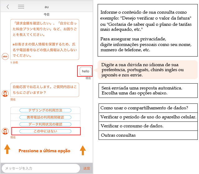 Inquire through message | Customer Support | au